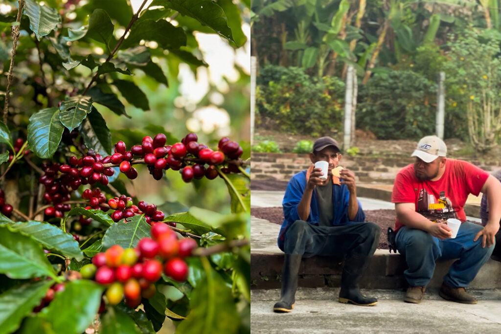 TRC USA x Black Dog Coffee Roasters - TRAVELER'S COMPANY USA